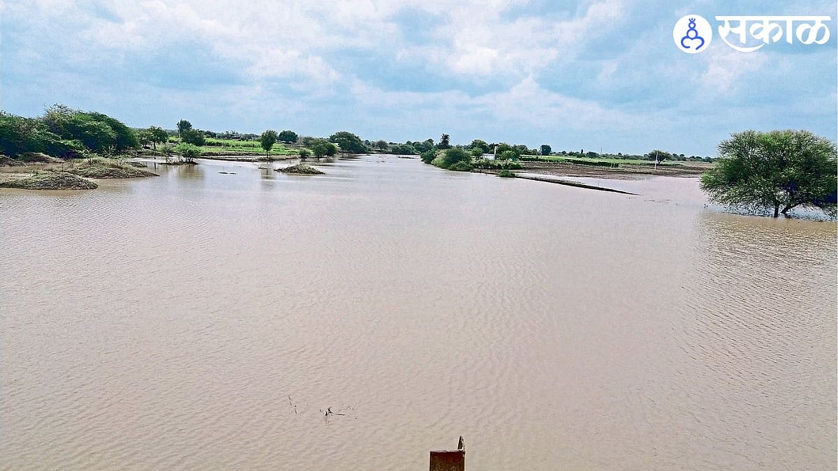 solapur sina river near villages alert issue due to heavy rain dam overflow monsoon| Solapur ...